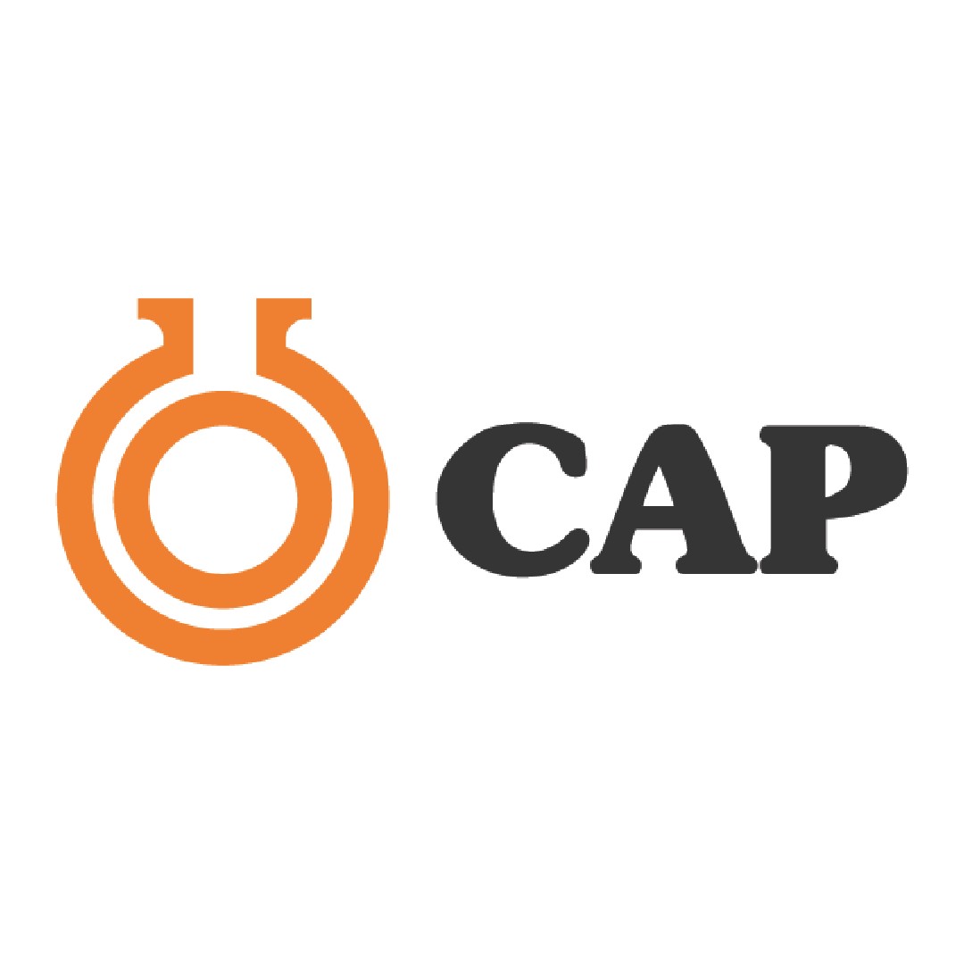 Chemical and Allied Products CAP PLC